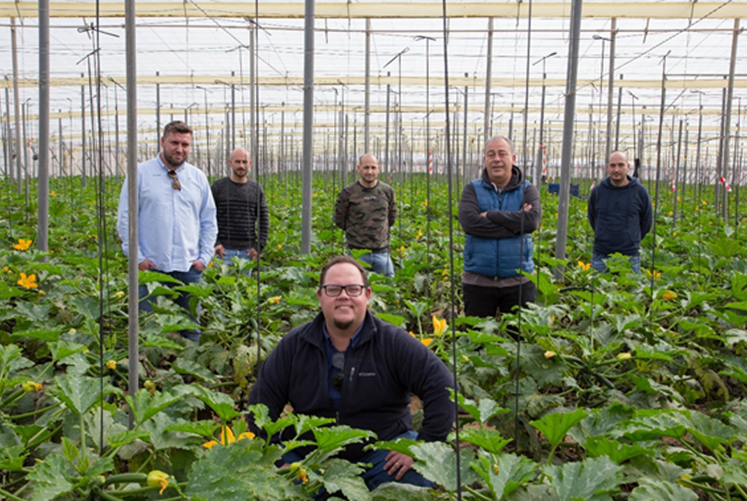 La malla Xsect Xtra impresiona en un cultivo de calabacín y pimiento ...