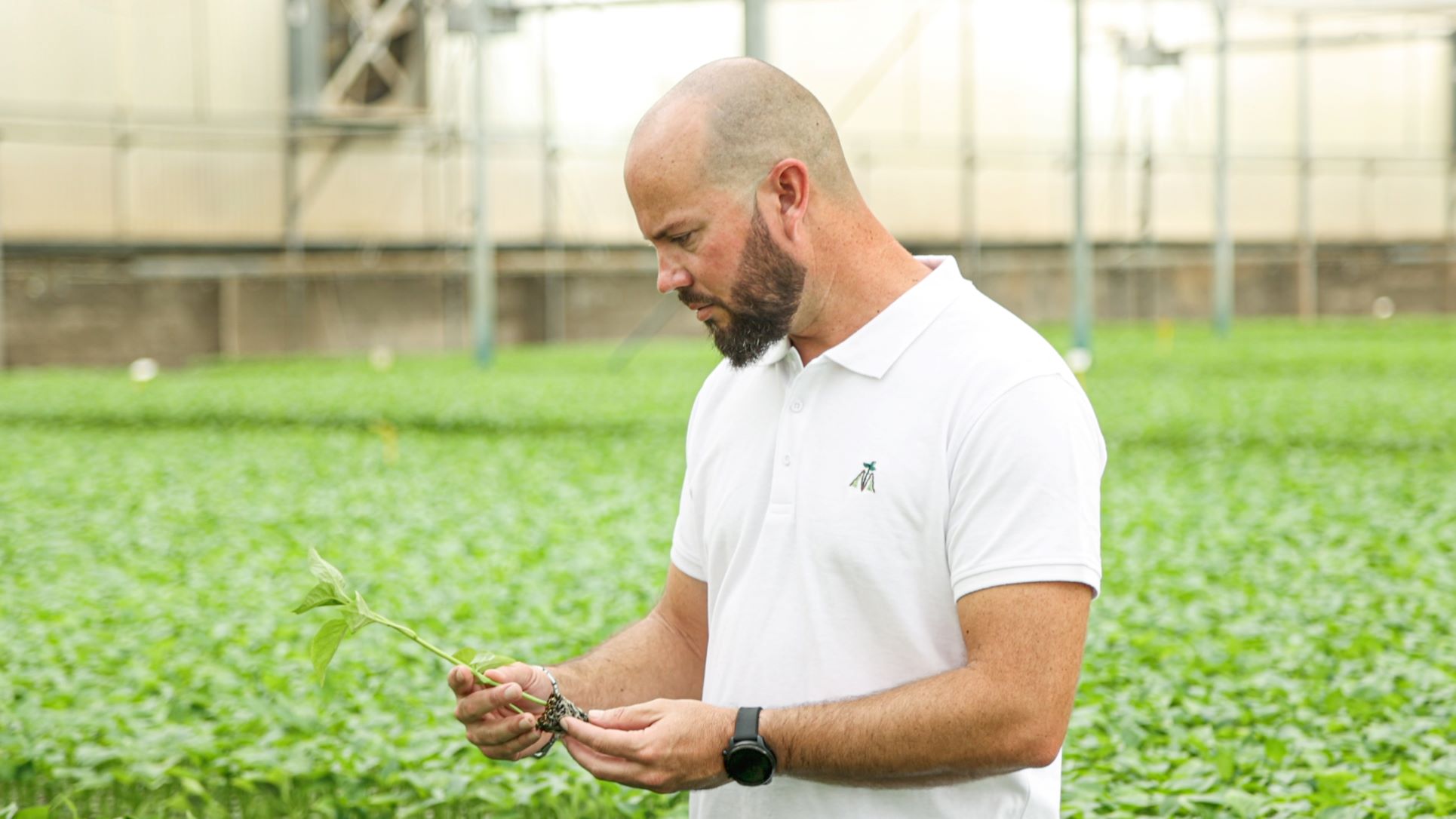 Ahorro en fitosanitarios con la malla Xsect Xtreme.