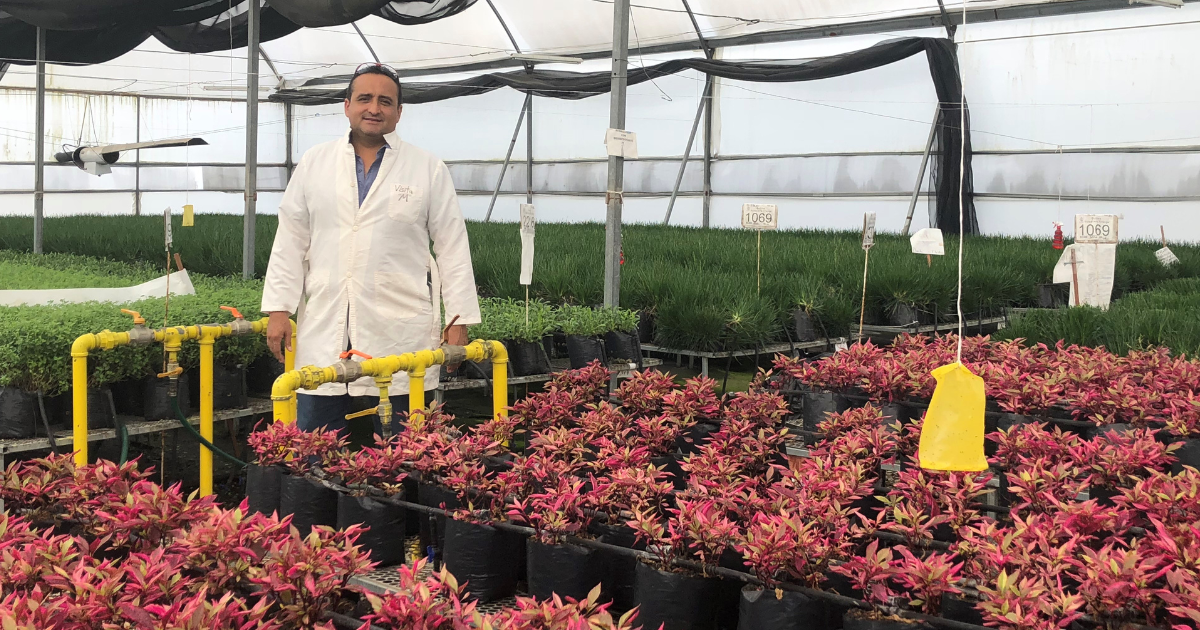 A better climate without thrips for young plants with Xsect Xtreme