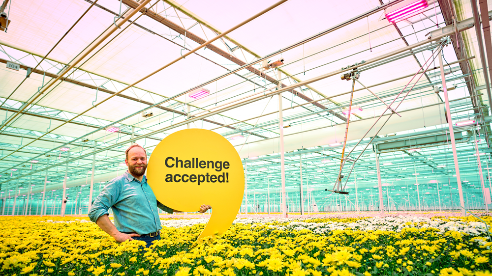 Climate Screens - Innovative greenhouse climate solutions