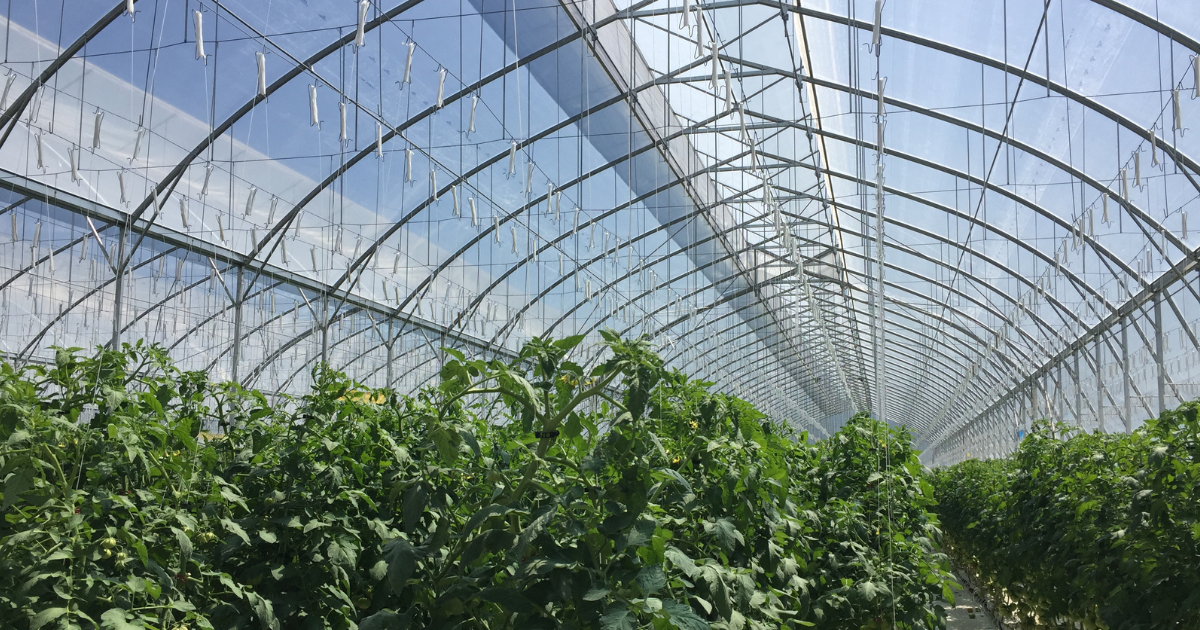 The perfect duo: Xsect Balance and Groundcover create an optimal ...