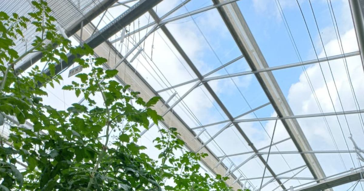 How Finka has managed to maintain a Svensson climate screen for more ...