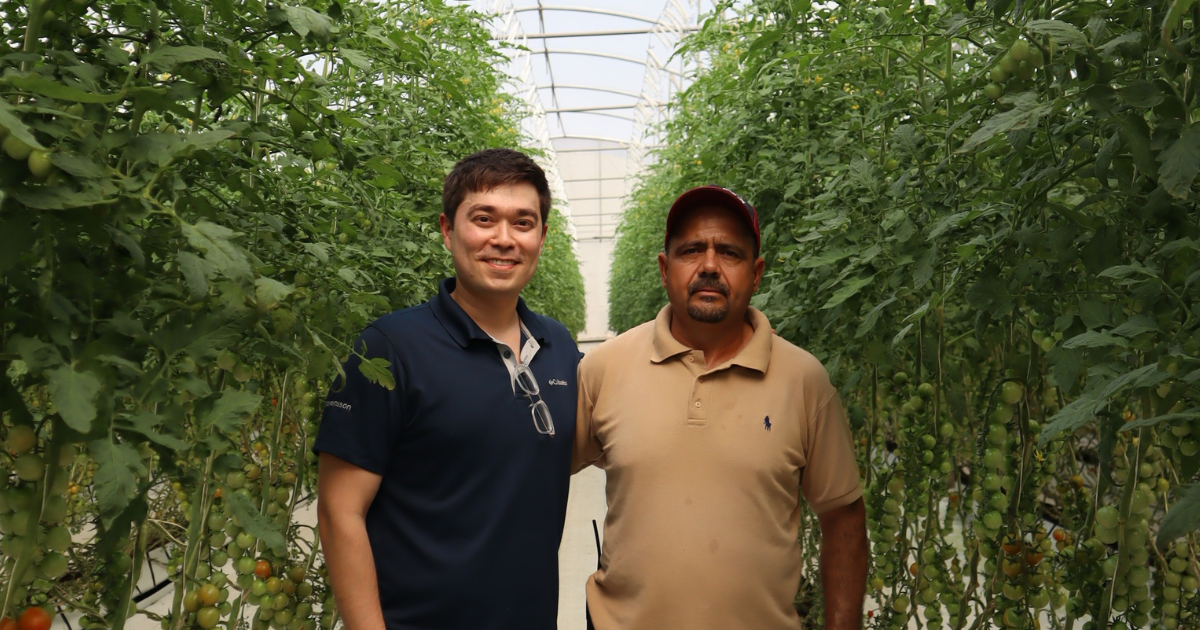 En una zona con temperaturas de hasta 50 °C, Xsect Balance reduce la ...